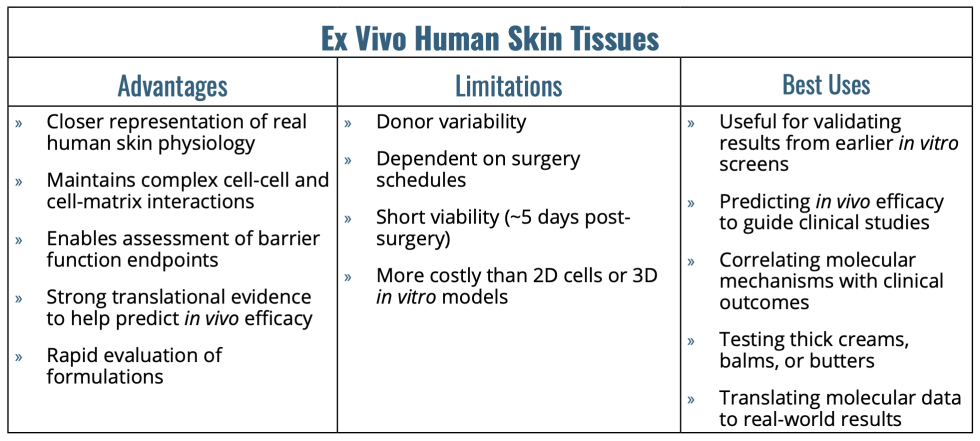 In Vitro & Ex Vivo Tissue Models for Skincare Testing