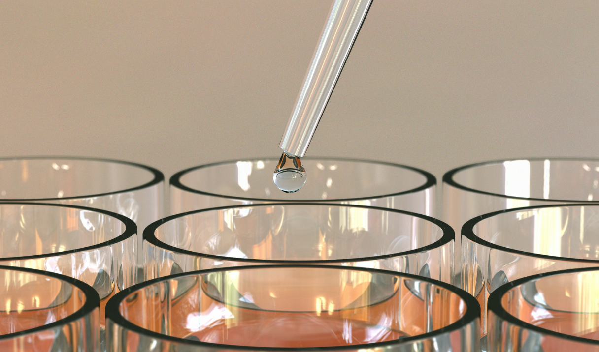 In Vitro & Ex Vivo Tissue Models for Skincare Testing