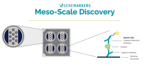 What is Meso Scale Discovery